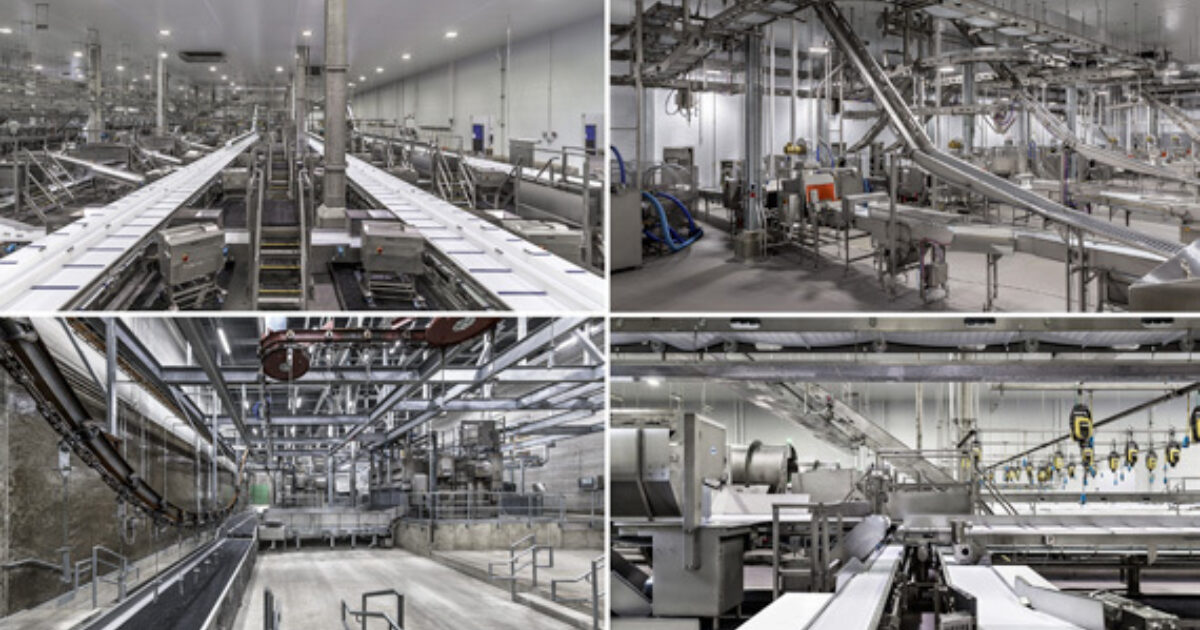 Protein Processing Facilities: Sustainable Design in… | Epstein