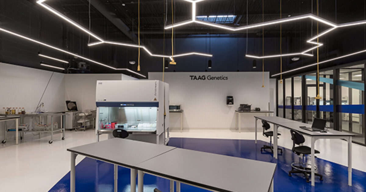 Epstein Helps Expand TAAG Genetics US-based Analysis &… | Epstein